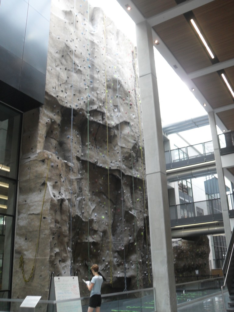 One University’s Unique Rec Center | TalkNerdy2Me TM